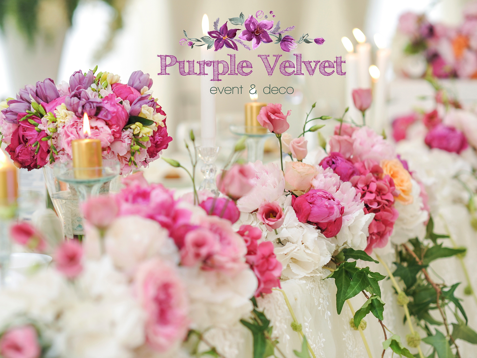 Purple Velvet /event&deco - Līgavām.com